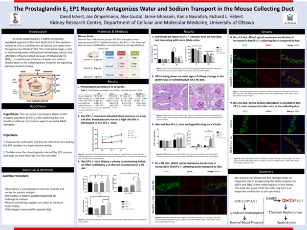 (PPT) CSN Poster David Eckert v4.pptx