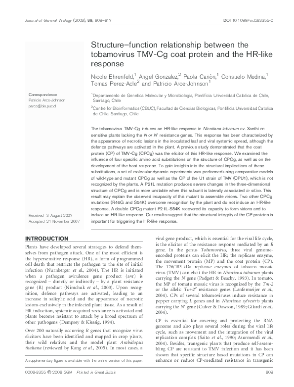 (PDF) Structure–function relationship between the tobamovirus TMV-Cg ...