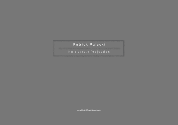 (PDF) Palucki 2014 Multistable Projection