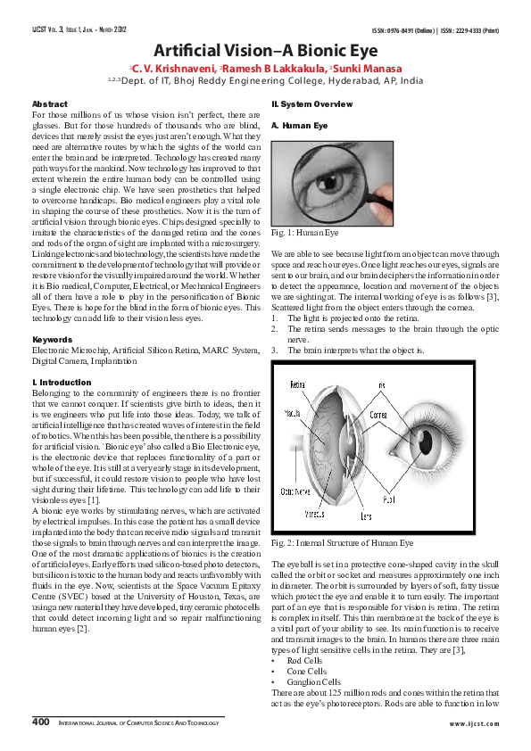 (PDF) Bionic Eye