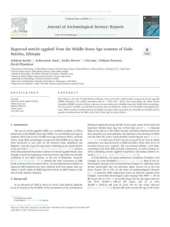(PDF) Engraved Ostrich Eggshell from Middle Stone Age, Ethiopia