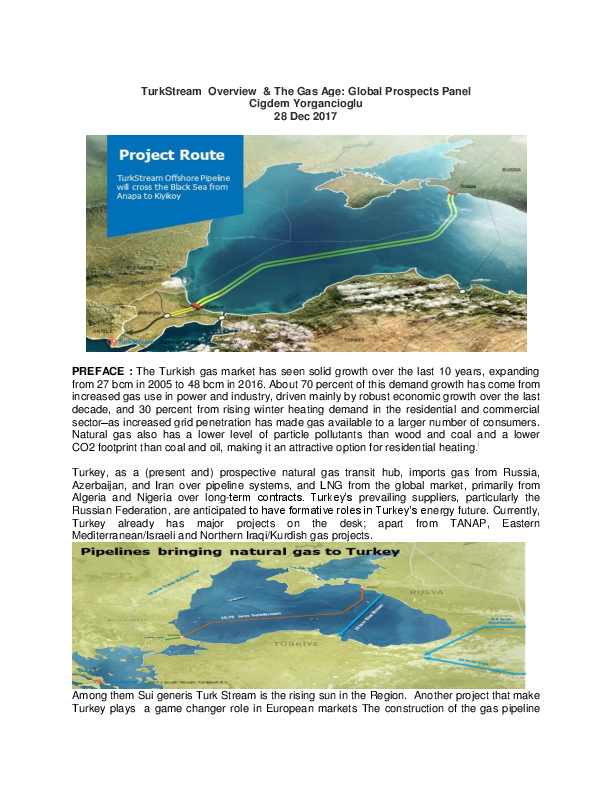 (PDF) TurkStream Overview & The Gas Age: Global Prospects Panel by ...
