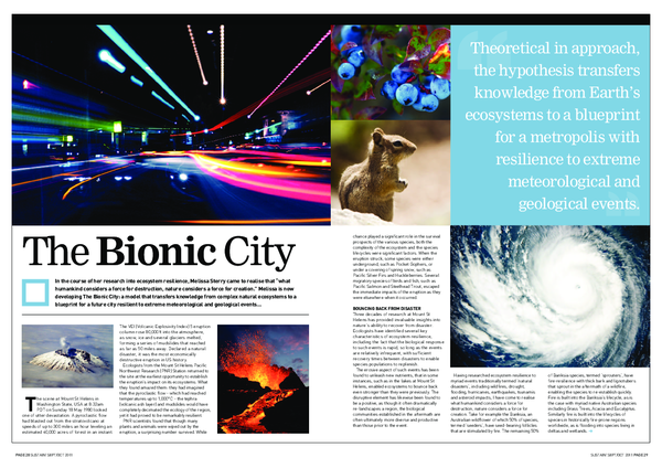 (PDF) The Bionic City