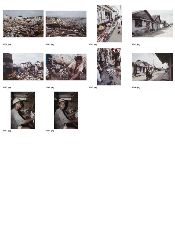 (PDF) NEW GUINEA PHOTOS ARCHIVES PP 2017, DOBO | Pierre Pétrequin and ...