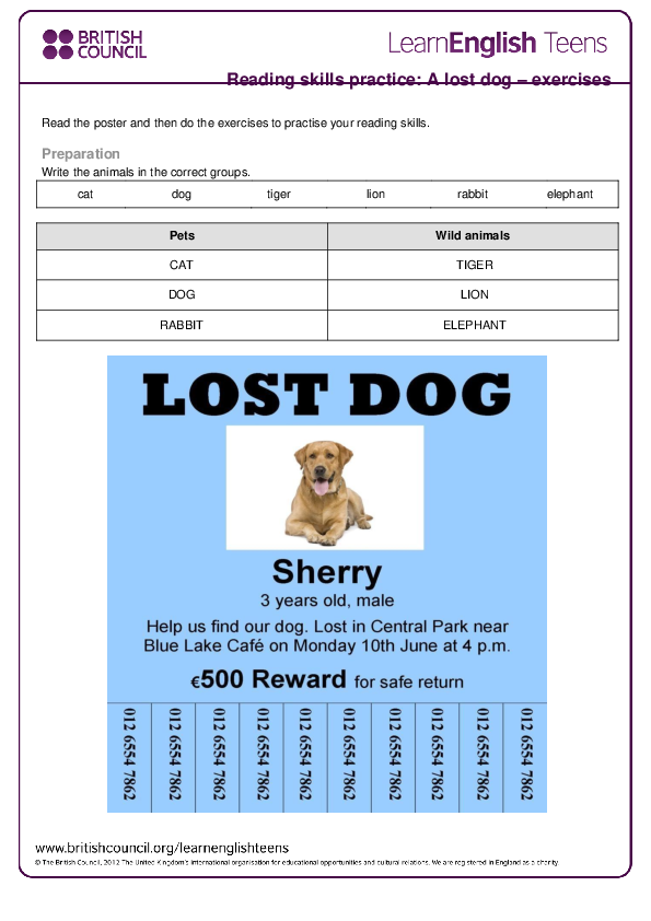 (DOC) Reading skills practice: A lost dog – exercises Preparation