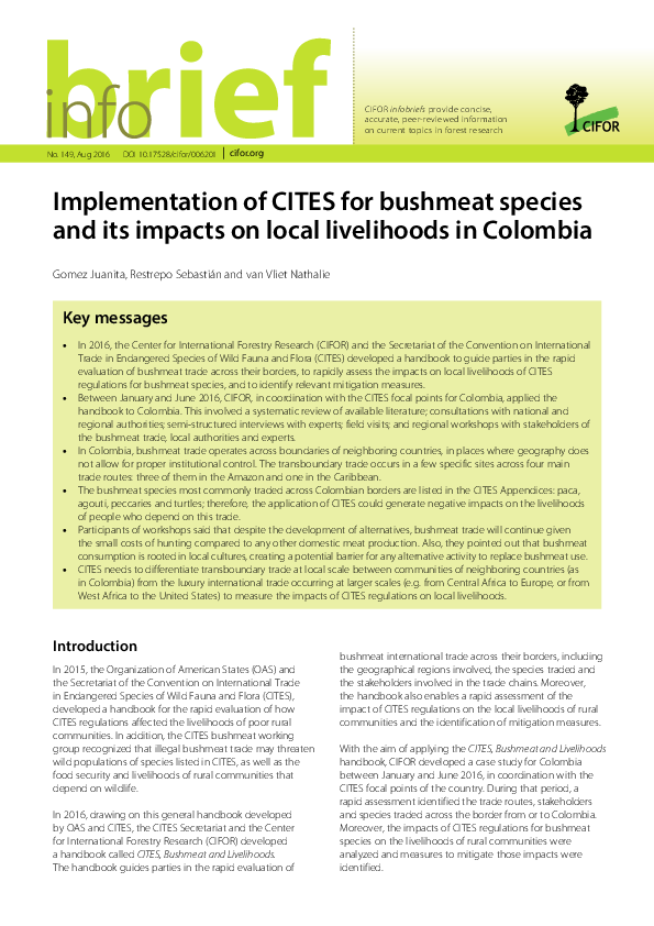 (PDF) -infobrief