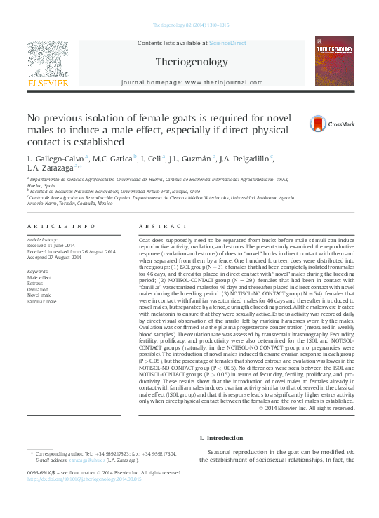 (PDF) No previous isolation of female goats is required for novel males ...