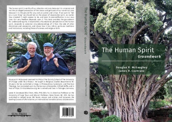 (PDF) The Human Spirit: Groundwork