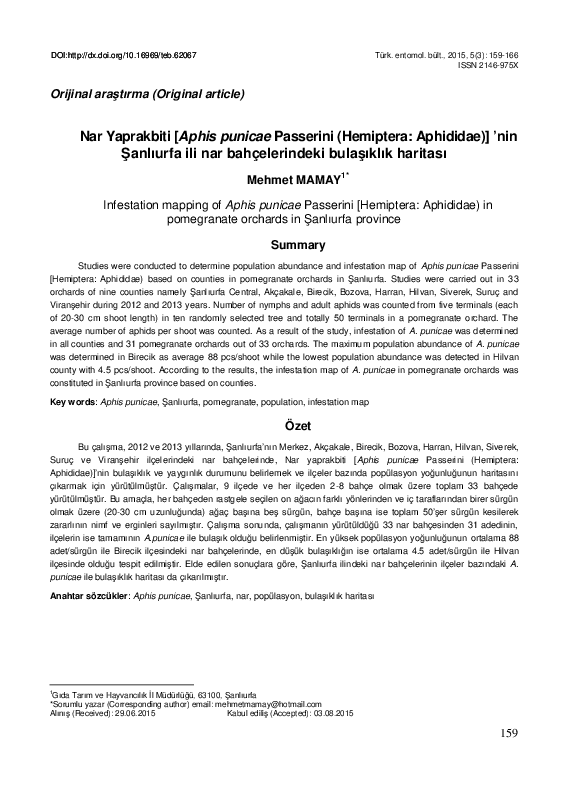 (PDF) Nar Yaprakbiti [Aphis punicae Passerini (Hemiptera: Aphididae ...