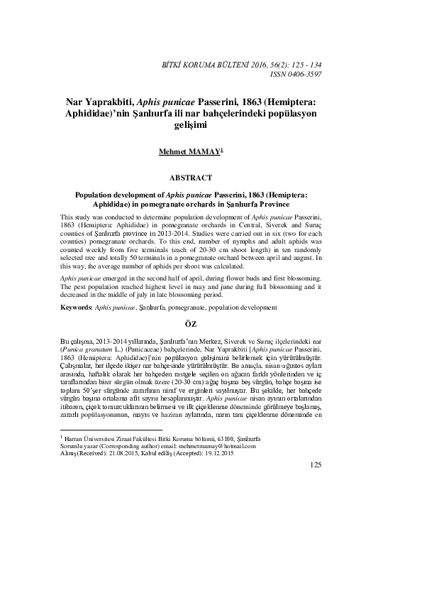 (PDF) Infestation mapping of Aphis punicae Passerini [Hemiptera ...