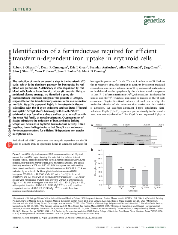 (PDF) Identification of a ferrireductase required for efficient ...