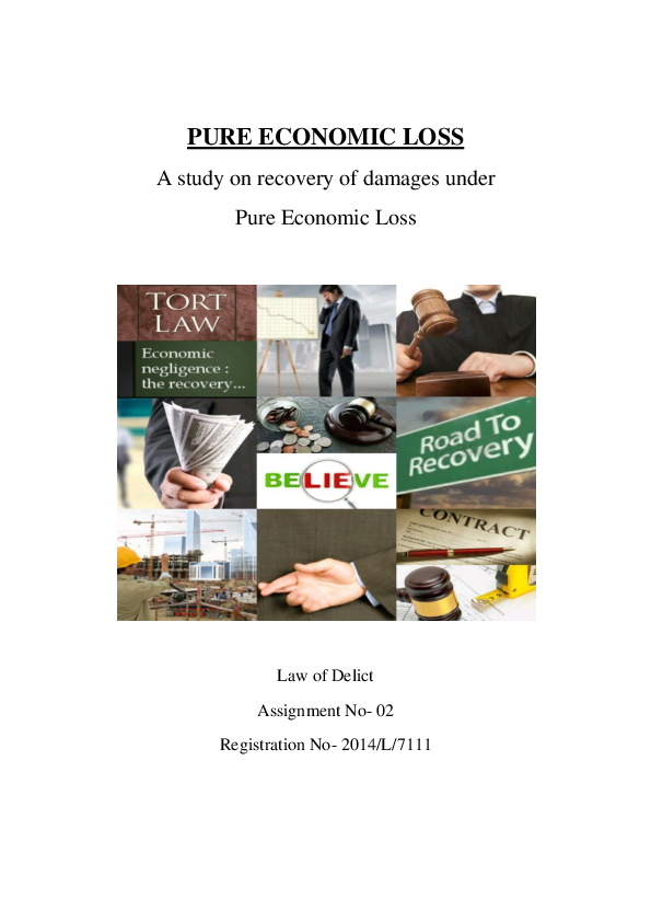 (PDF) PURE ECONOMIC LOSS