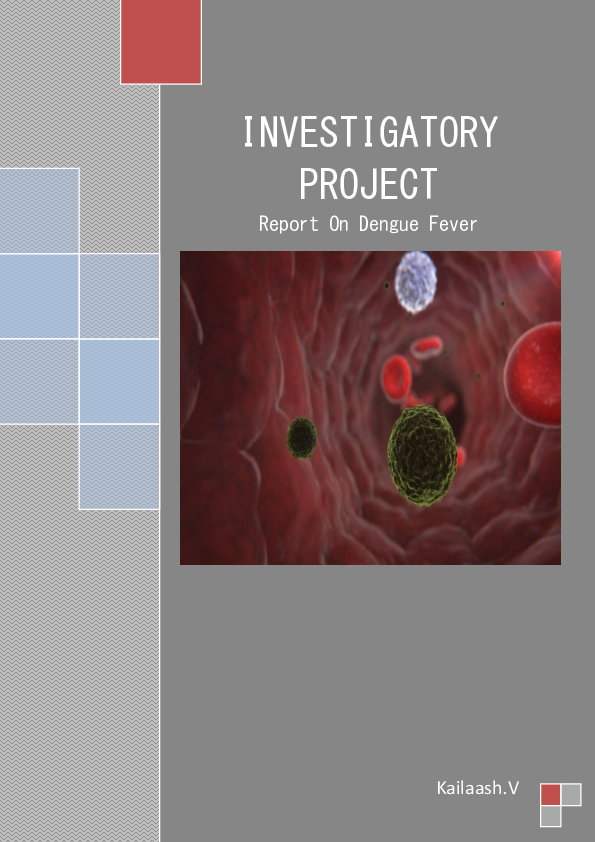 (DOC) Biology Investigatory projec report - Dengue Fever