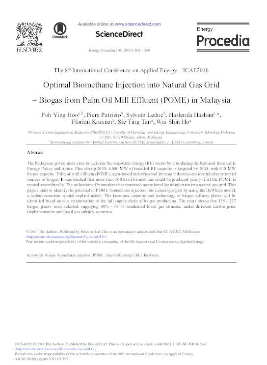 Optimal Biomethane Injection into Natural Gas Grid – Biogas from Palm ...