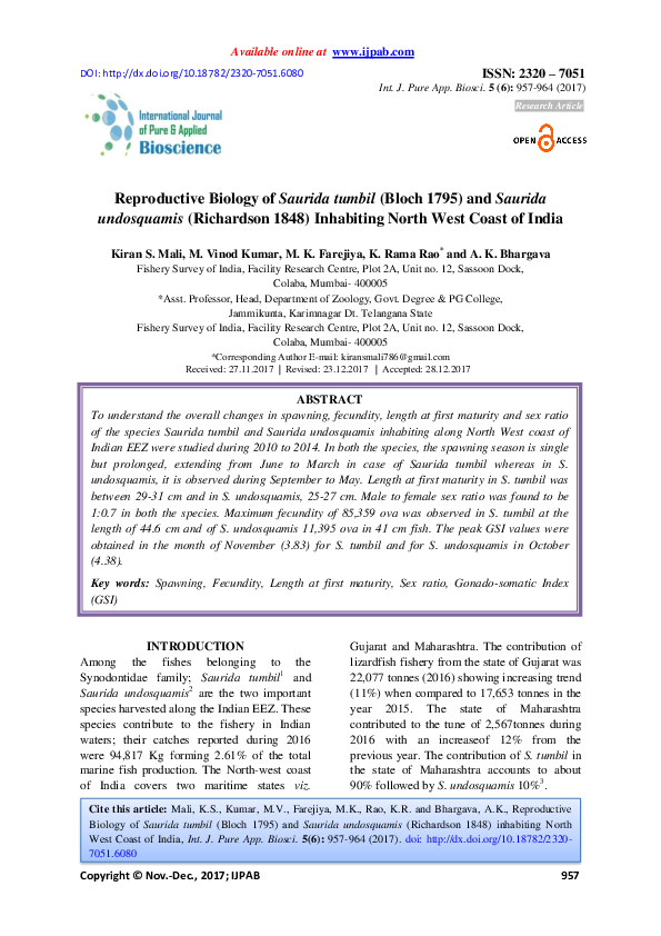 (PDF) Reproductive Biology of Saurida tumbil (Bloch 1795) and Saurida ...