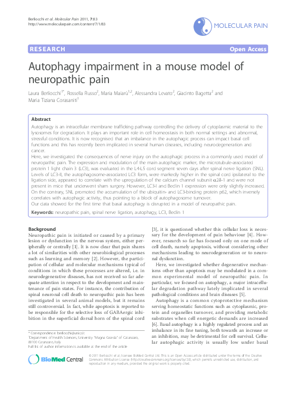 (PDF) Autophagy Deficiency in Neuropathic Pain Mice