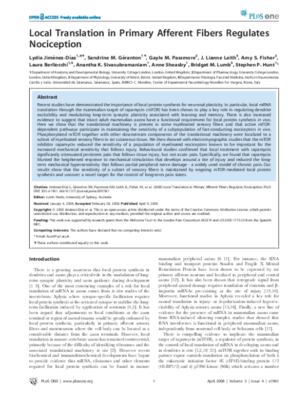 (PDF) Local Translation in Primary Afferent Fibers Regulates Nociception