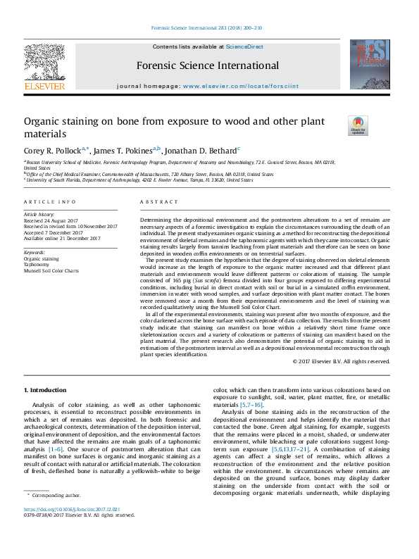(PDF) Organic staining on bone from exposure to wood and other plant ...
