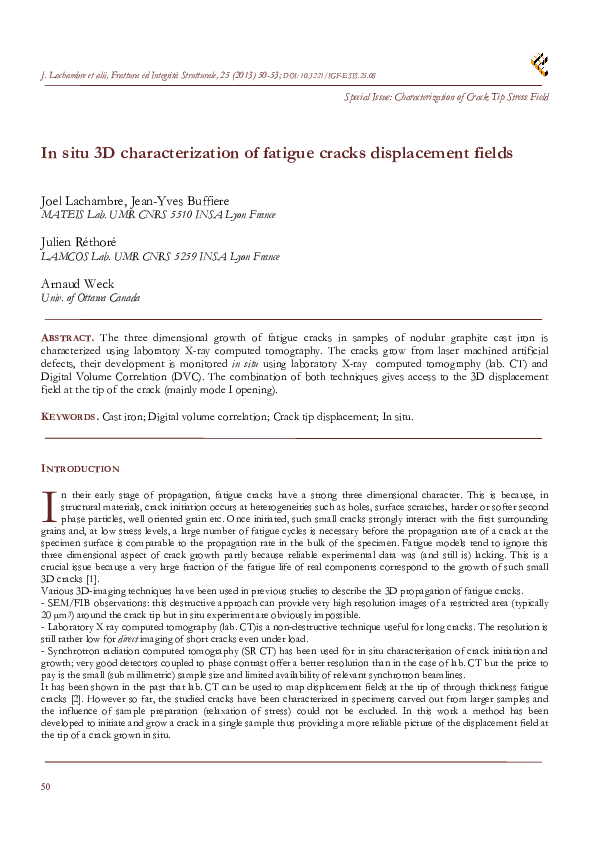 (PDF) In situ 3D characterization of fatigue cracks displacement fields.PDF