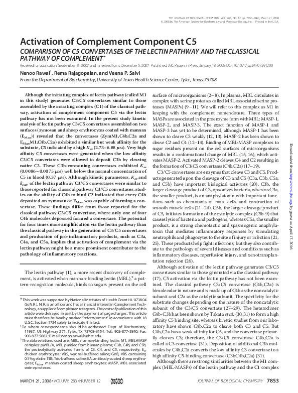 (PDF) C5 Convertase Kinetics in Complement Activation