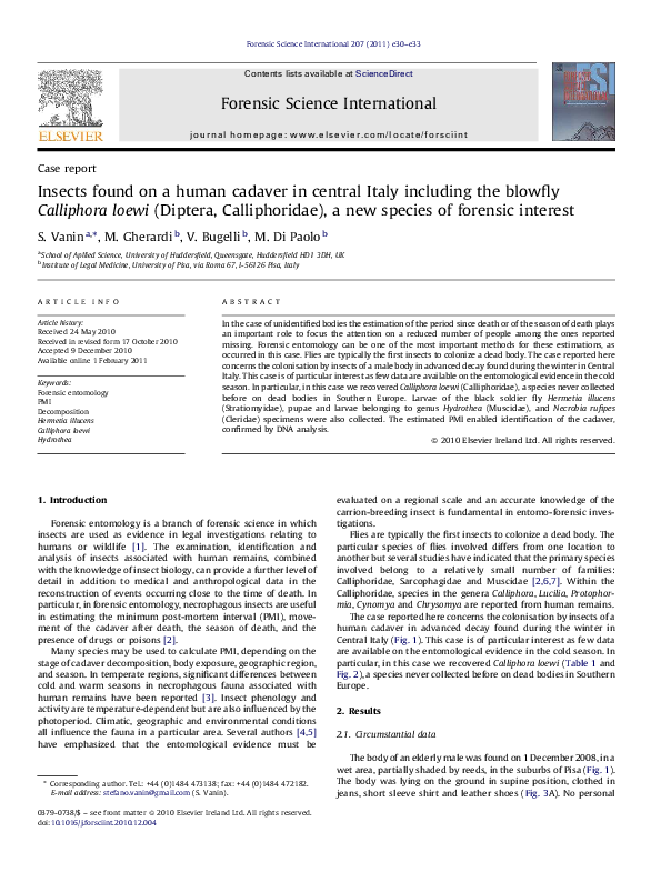 (PDF) Insects found on a human cadaver in central Italy including the ...