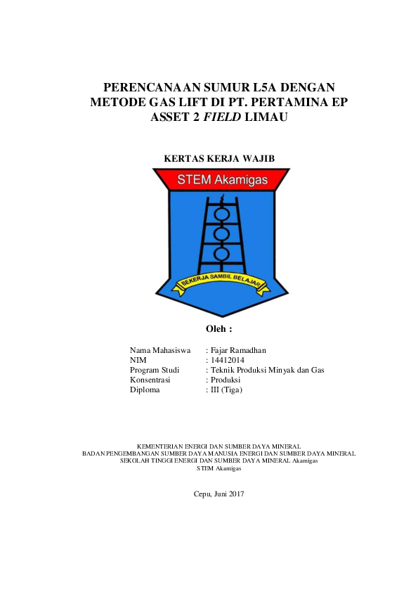 (PDF) PERENCANAAN SUMUR L5A DENGAN METODE GAS LIFT DI PT. PERTAMINA EP ...