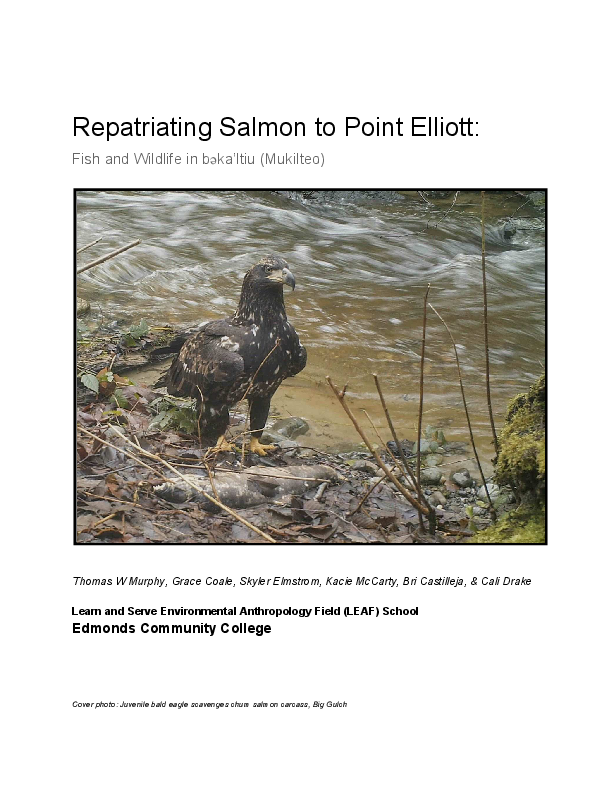 (PDF) Repatriating Salmon to Point Elliott: Fish and Wildlife in bǝka ...
