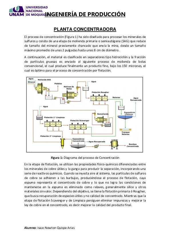 (DOC) PLANTA CONCENTRADORA