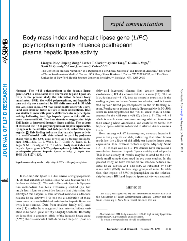 (PDF) Body mass index and hepatic lipase gene (LIPC) polymorphism ...