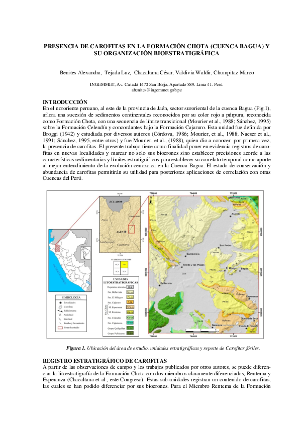 (PDF) PRESENCIA DE CAROFITAS EN LA FORMACIÓN CHOTA (CUENCA BAGUA) Y SU ...