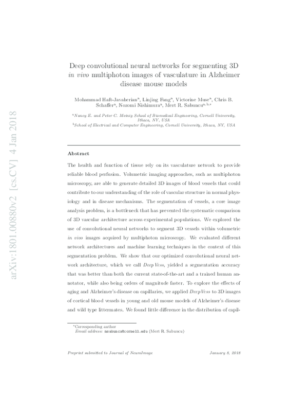 (PDF) Deep convolutional neural networks for segmenting 3D in vivo multiphoton images of ...