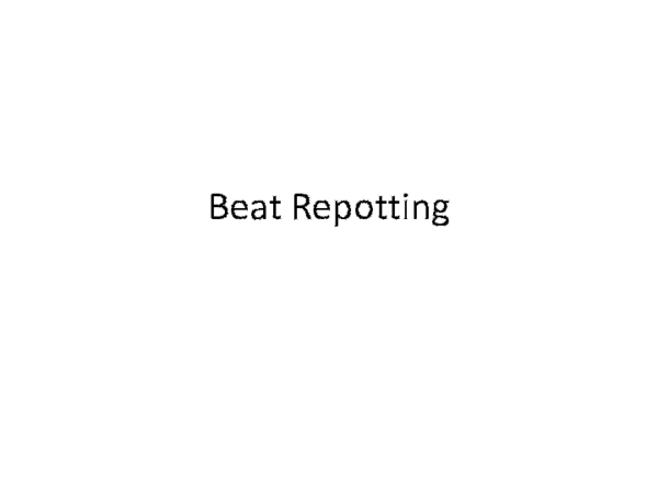 (PPT) beat reporting.pptx