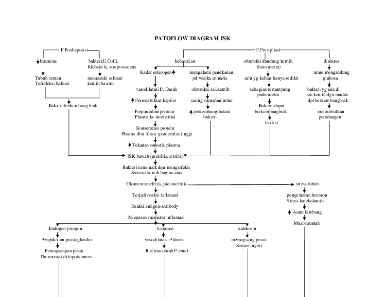 (DOC) PATOFLOW DIAGRAM ISK