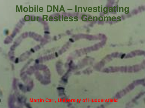 (PPT) Mobile DNA – Investigating Our Restless Genomes