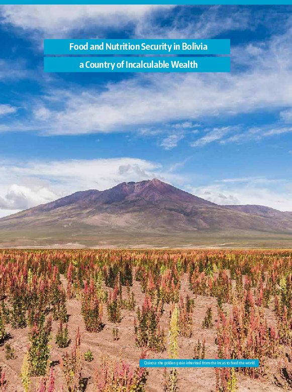 (PDF) Food and Nutrition Security in Bolivia a Country of Incalculable ...