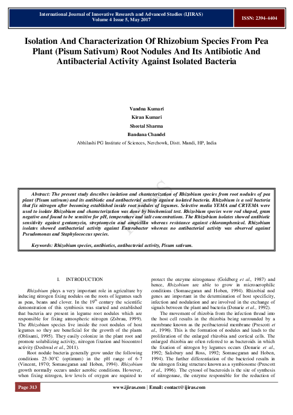 (PDF) Isolation And Characterization Of Rhizobium Species From Pea Plant (Pisum Sativum) Root ...