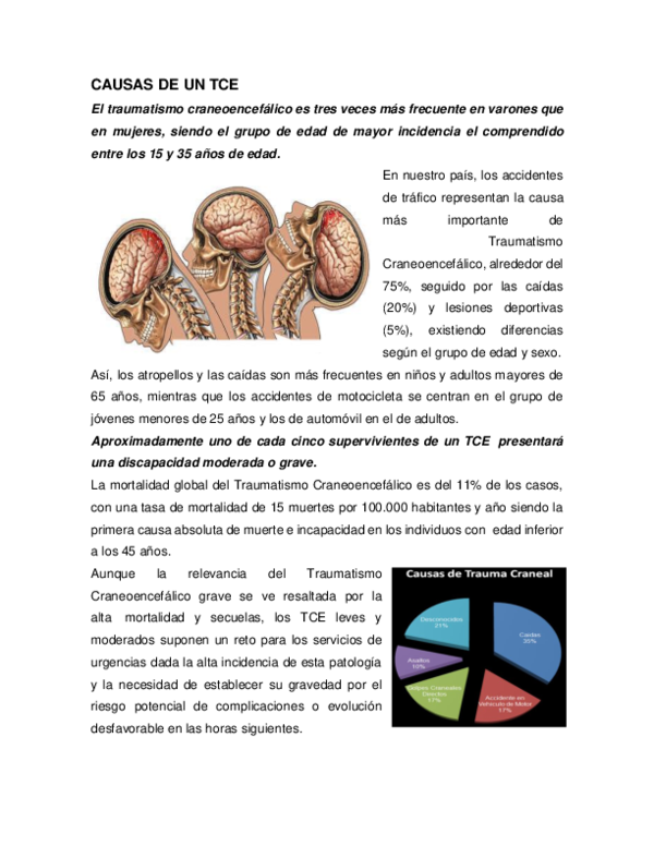 (DOC) CAUSAS DE UN TCE