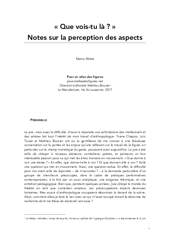 (PDF) "Que vois-tu là ?" Notes sur la perception des aspects