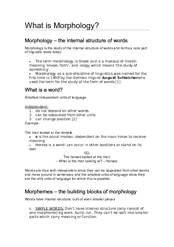 What is Morphology