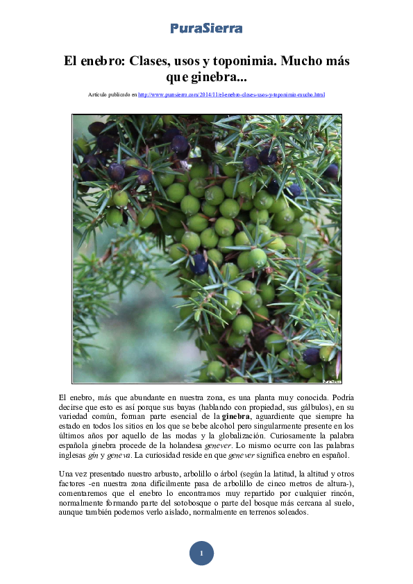 (PDF) El enebro: Clases, usos y toponimia. Mucho más que ginebra...