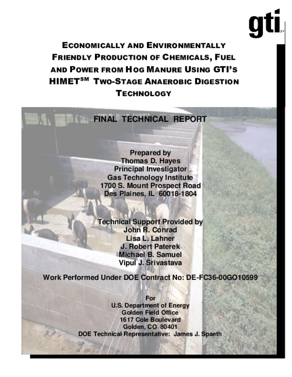 (PDF) Hog Report Master Final