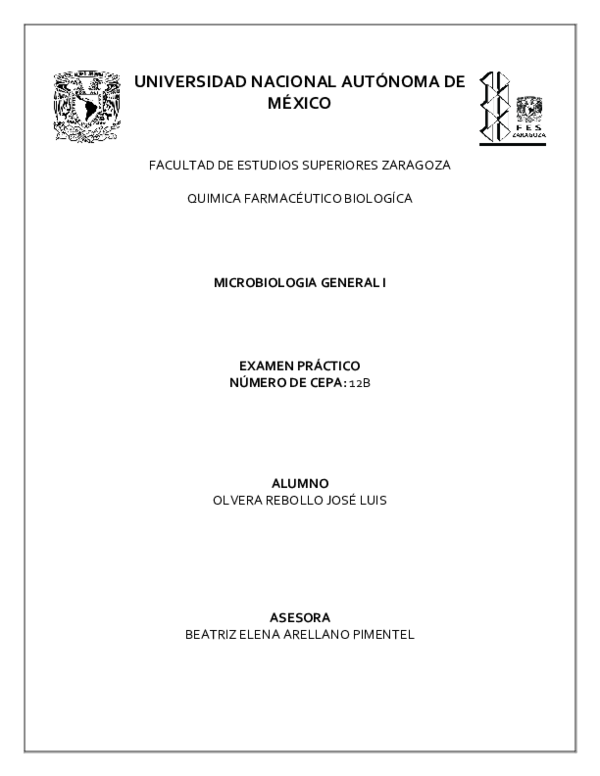 (DOC) Examen práctico micro Pepe