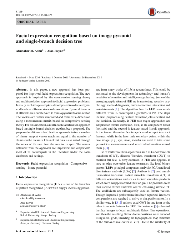 (PDF) Facial expression recognition based on image pyramid and single-branch decision tree