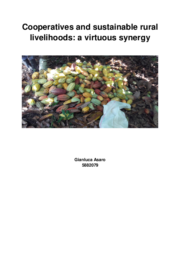 (DOC) cooperatives and sustainable rural livelihoods.docx | Gianluca ...