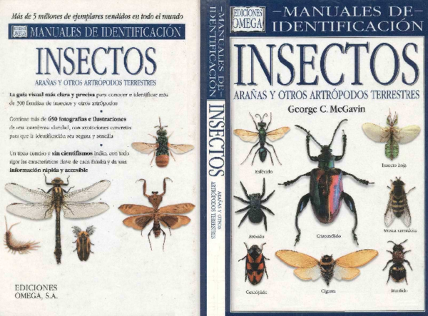 (PDF) Manual de Identificacion de Insectos, Arañas y Otros Artropodos ...