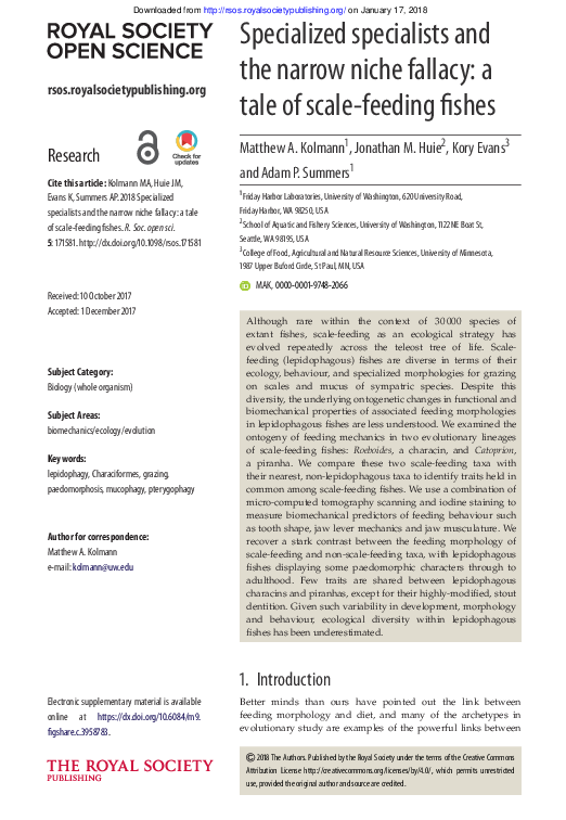 (PDF) Specialized specialists and the narrow niche fallacy: a tale of ...