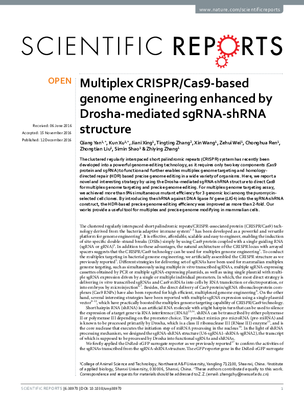 (PDF) Multiplex CRISPR/Cas9-based genome engineering enhanced by Drosha ...