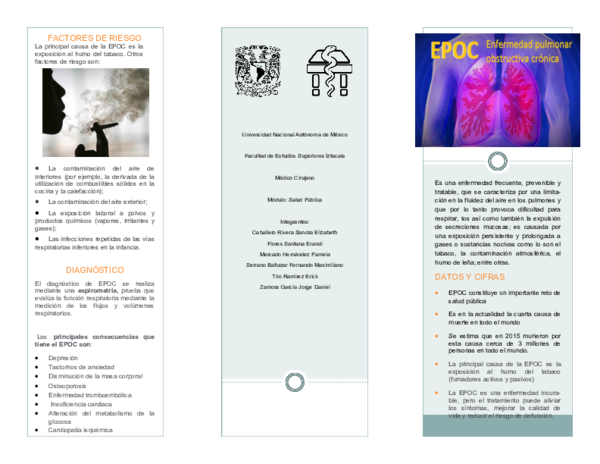 (PDF) TRIPTICO-FINAL