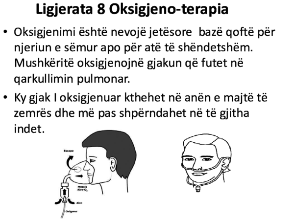 (PPT) Ligjerata