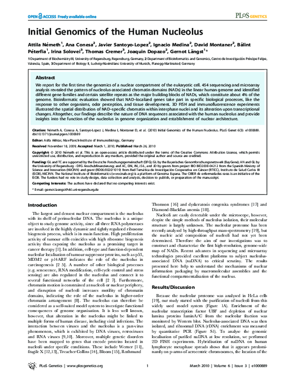 (PDF) Initial Genomics of the Human Nucleolus